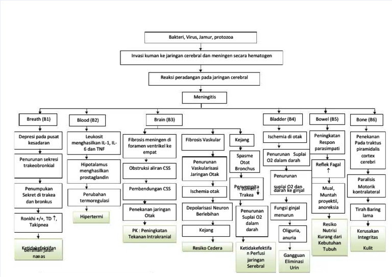 PDF Woc Meningitis - Compress | PDF