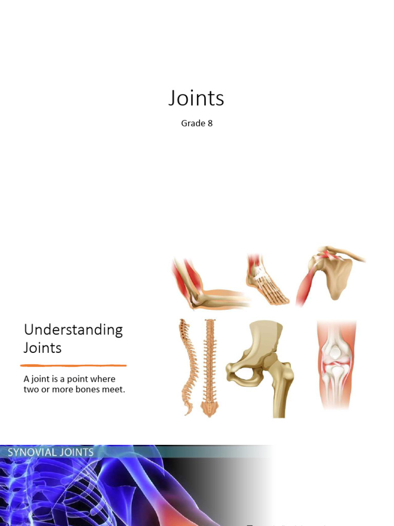Joints | PDF