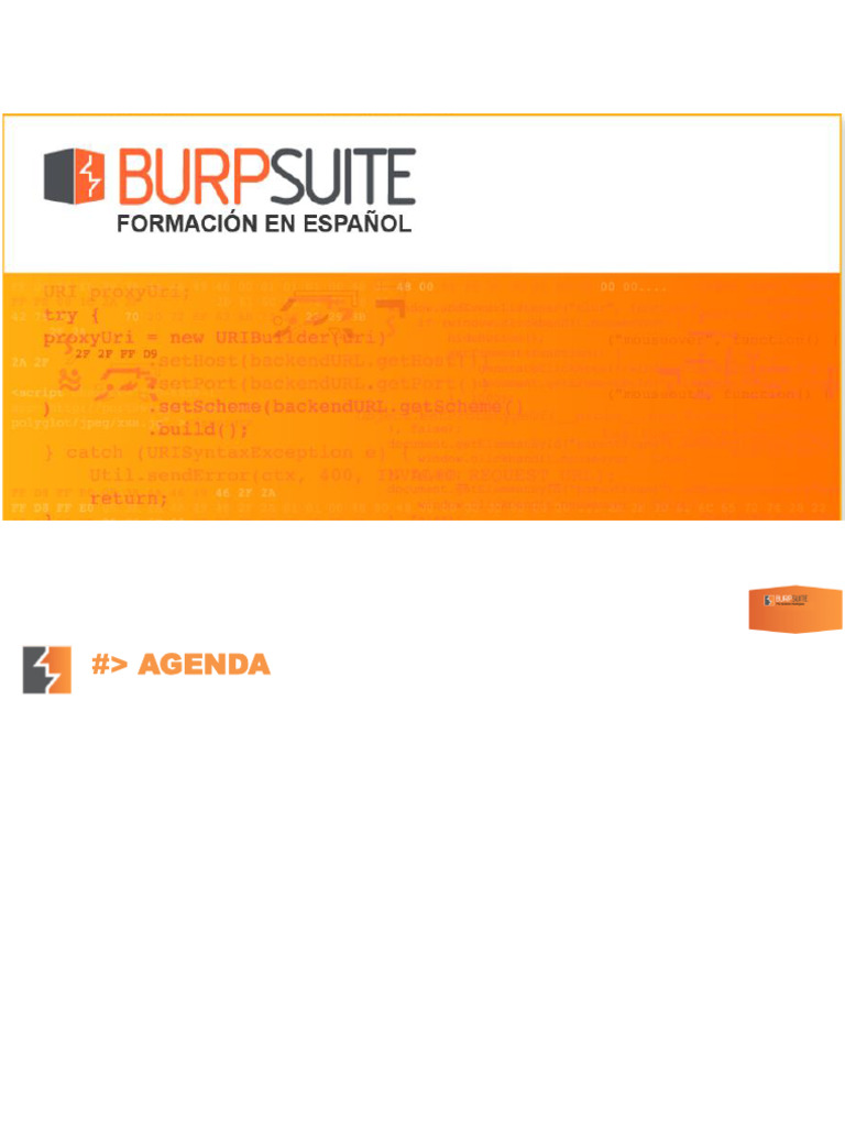 BurpSuite Guide | PDF | Servidor proxy | Ingeniería de software