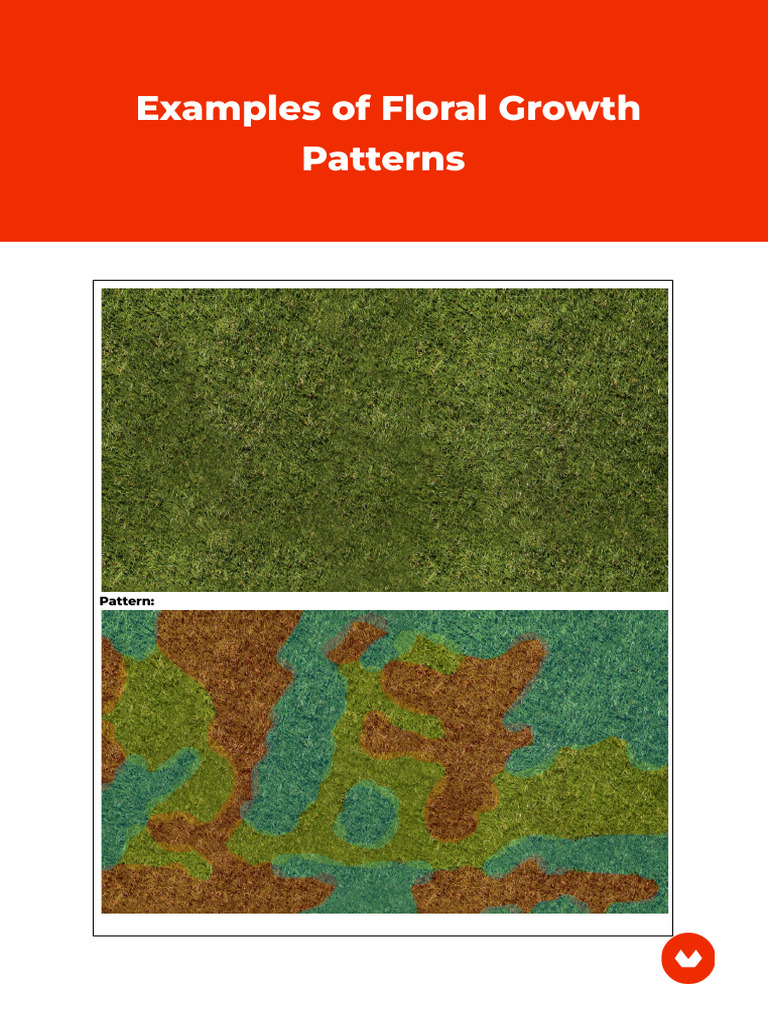 U2 - 01 - Examples of Floral Growth Patterns | PDF