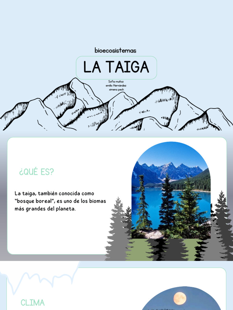 Características de la Taiga Boreal | PDF | Ecología | Ciencias de la Tierra