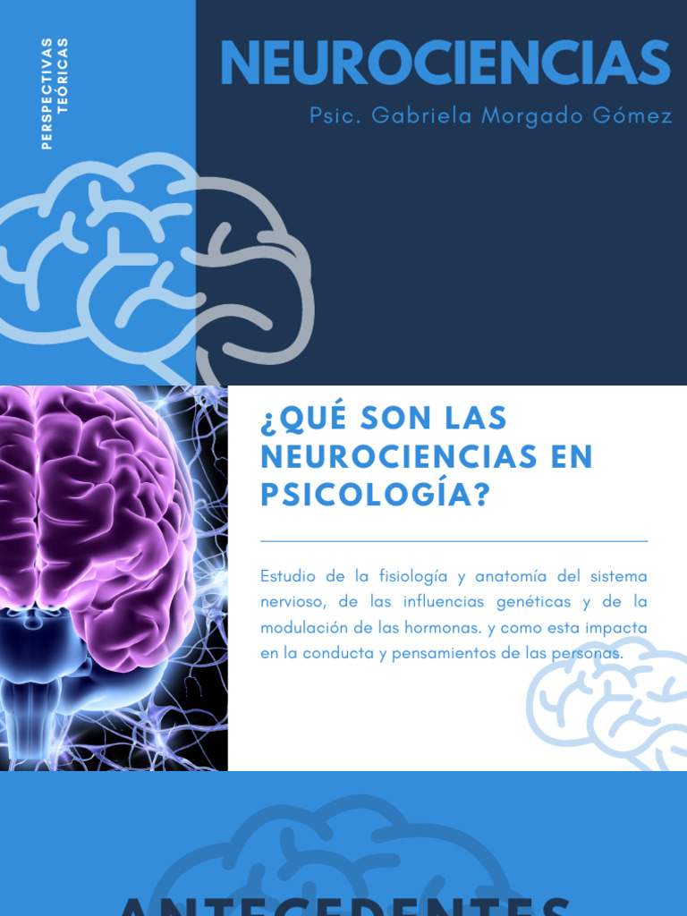 Perspectivas Teóricas | PDF | Ciencia y matemáticas