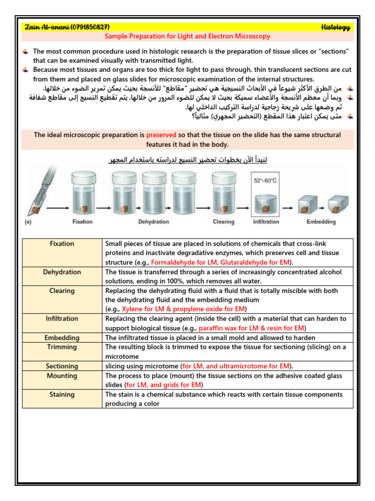 Preparation of Tissue Sections | PDF | Histology | Fixation (Histology)