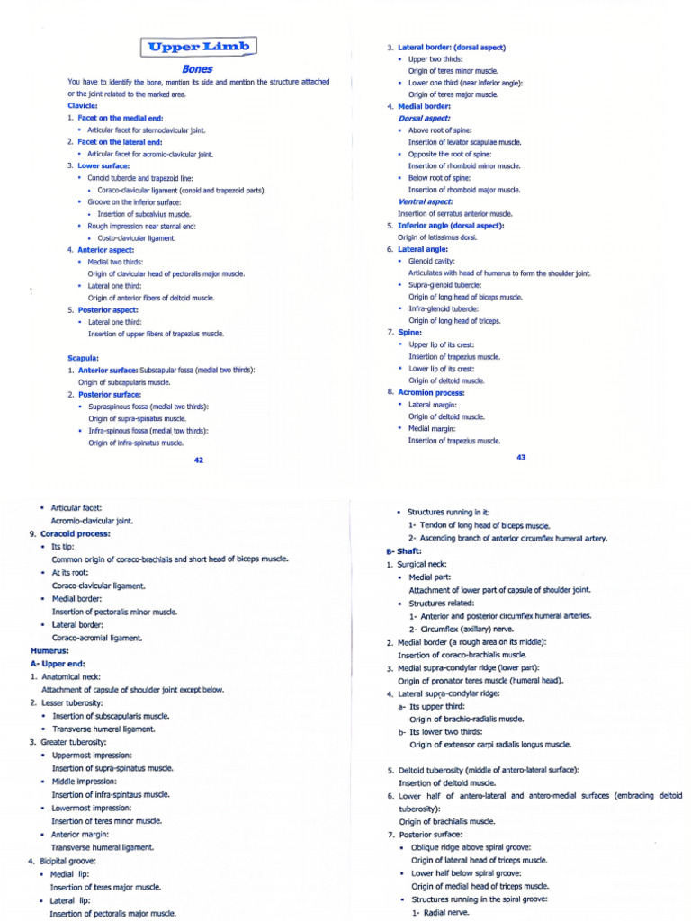 Anatomy Practical Book | PDF