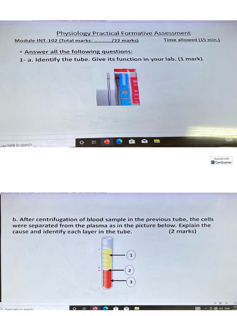 Physiology 1st Formative Assessment | PDF
