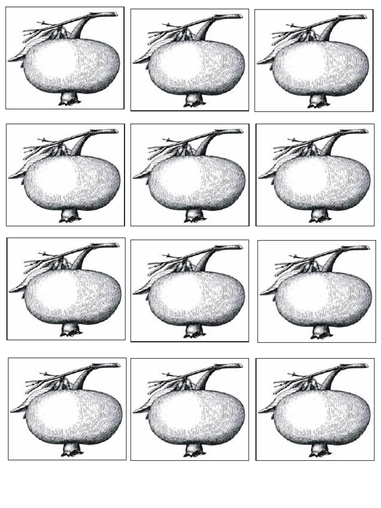 Fruto | PDF