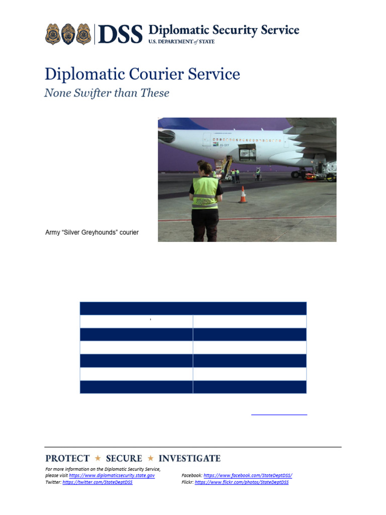 Dss DC Factsheet 2020 Final 1 | PDF