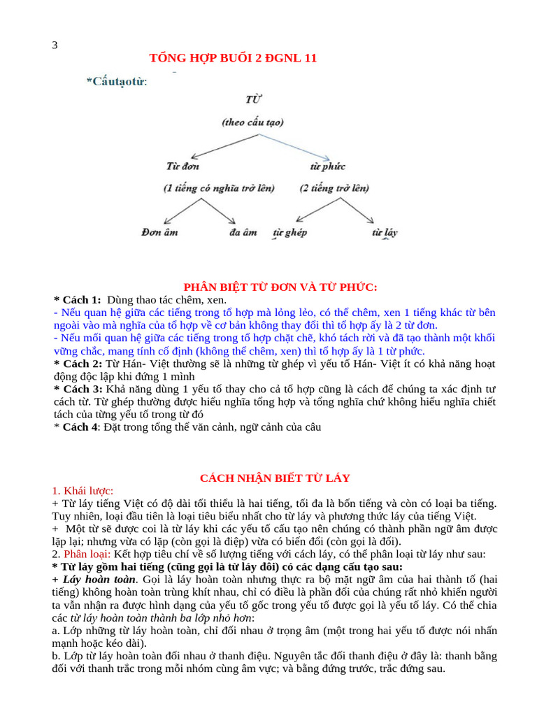 Tong Hop B1 LT11 | PDF