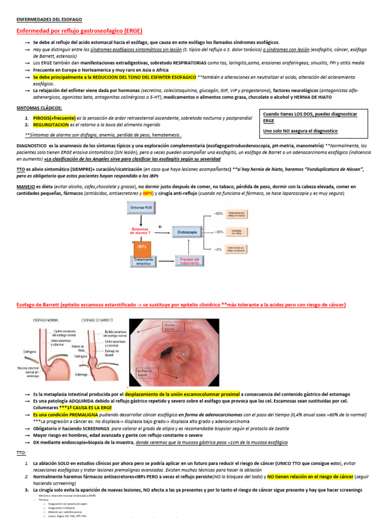 Cm1. Erge, Barrett y Esofagitis | PDF | La enfermedad por reflujo gastroesofágico | Medicina CLINICA