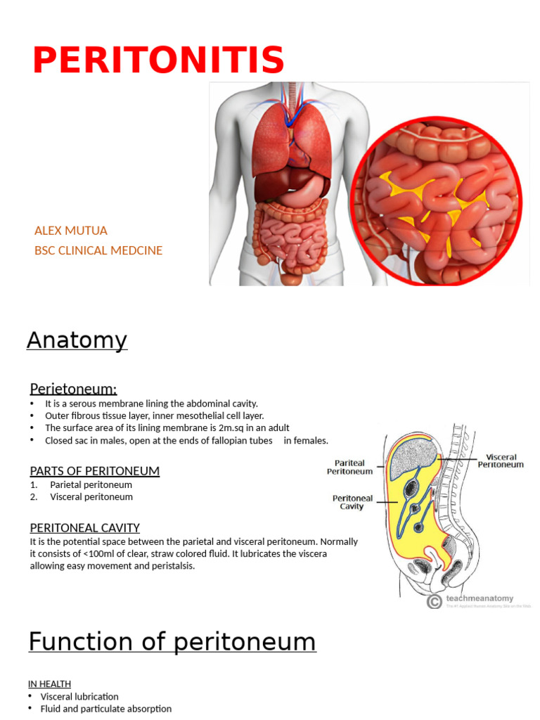 Peritonitis 1 | PDF | Peritoneum | Gastroenterology