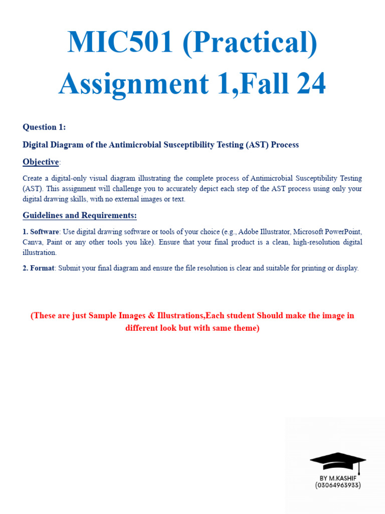 MIC501 - Practical Assignment 1 - Fall 24 - Solved | PDF | Technology & Engineering