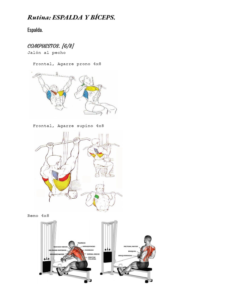 Espalda y Bíceps | PDF