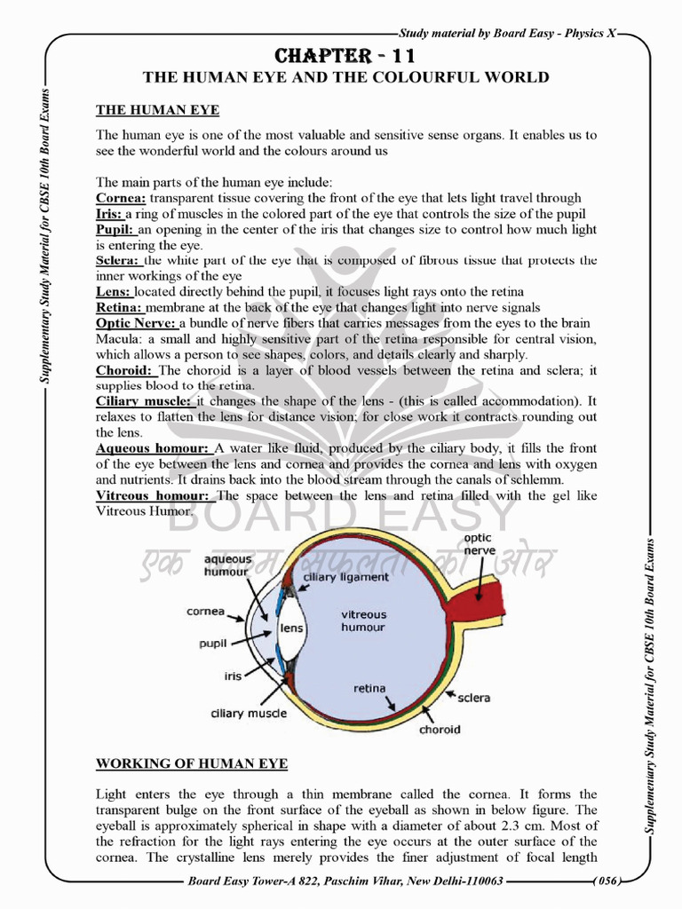 Human Eye - Class 10 Physics | PDF