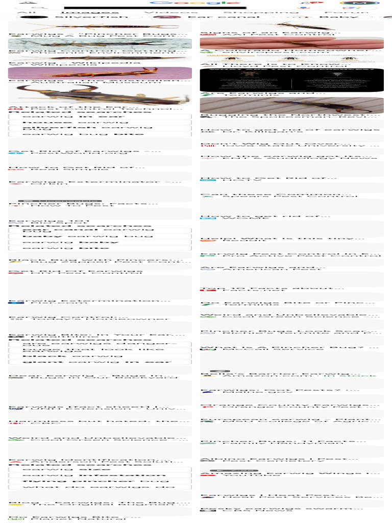 Earwig Control & Identification Guide | PDF | Insects | Pest Control