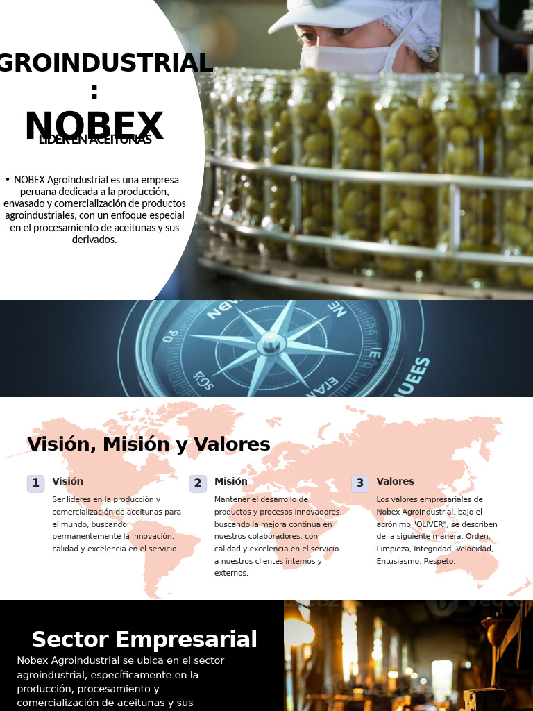 Nobex Agroindustrial: Líder en Aceitunas | PDF | Calidad (comercial ...