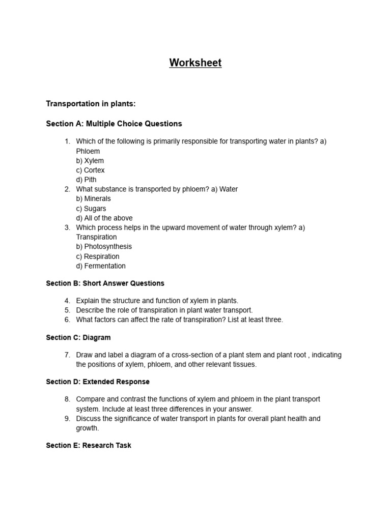 Worksheet On Transportation in Plants | PDF | Leaf | Root
