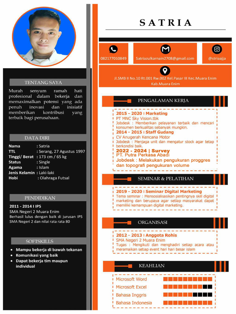 CV Satria | PDF
