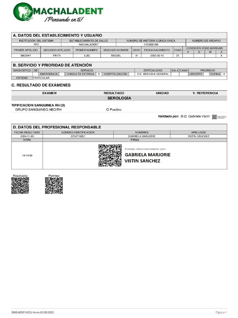 Michay Pinta Luis Miguel | PDF