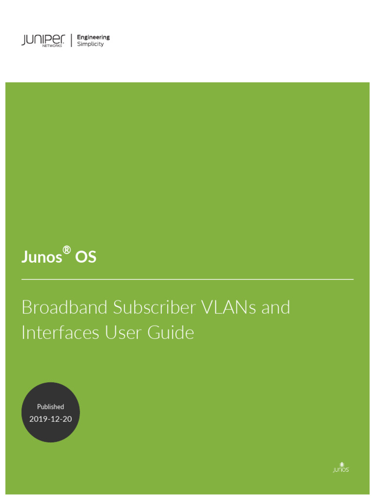 Subscriber MGMT Vlan Interface | PDF