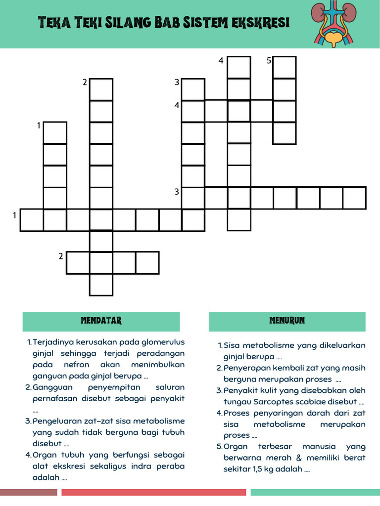 Merah Muda Hijau Muda Ilustrasi Lembar Kerja Teka Teki Silang Sistem Ekskresi | PDF