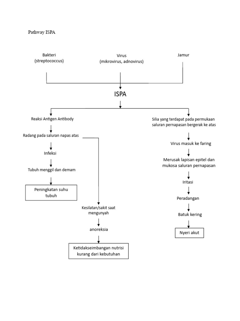 Dokumen Tips Pathway Ispa Ok 569ed6a1b03fc | PDF