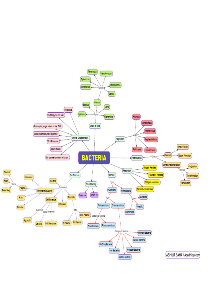 Bacteria-biology-mindmap-Biological-Classification | PDF | Bacteria | Cell (Biology)