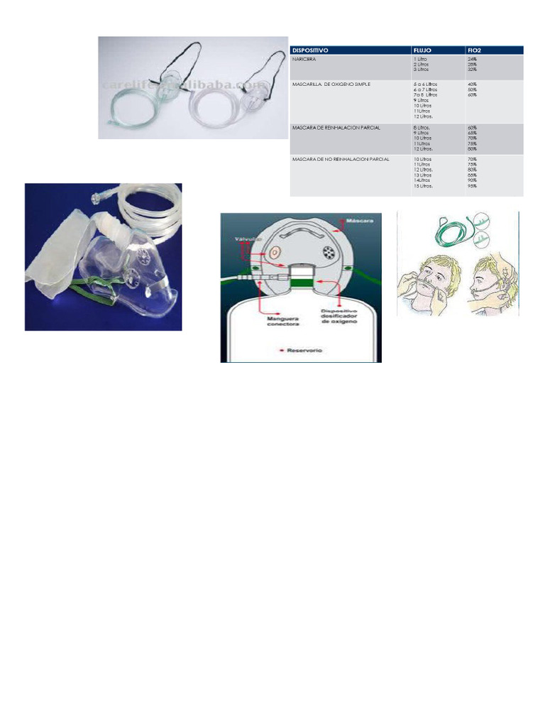 BBBBBBBBBBBBBBBBN NK | PDF