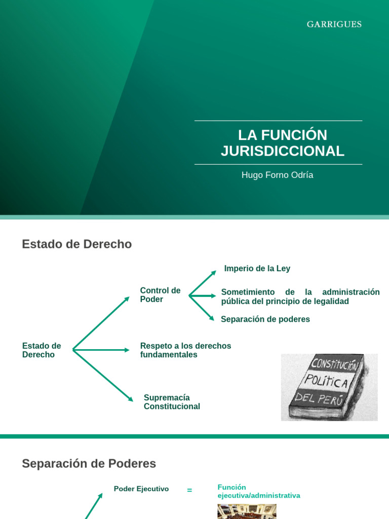 La Función Jurisdiccional | PDF | Jurisdicción | Ley constitucional