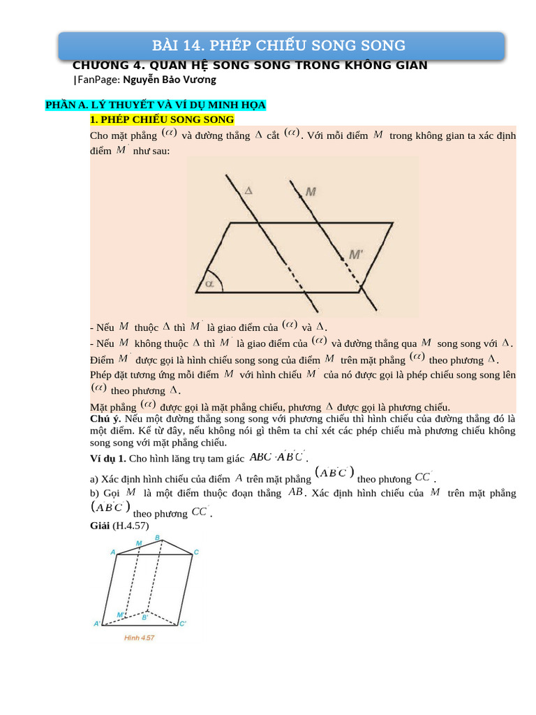 C4 - Bài 14 Phep Chieu Song Song CH | PDF