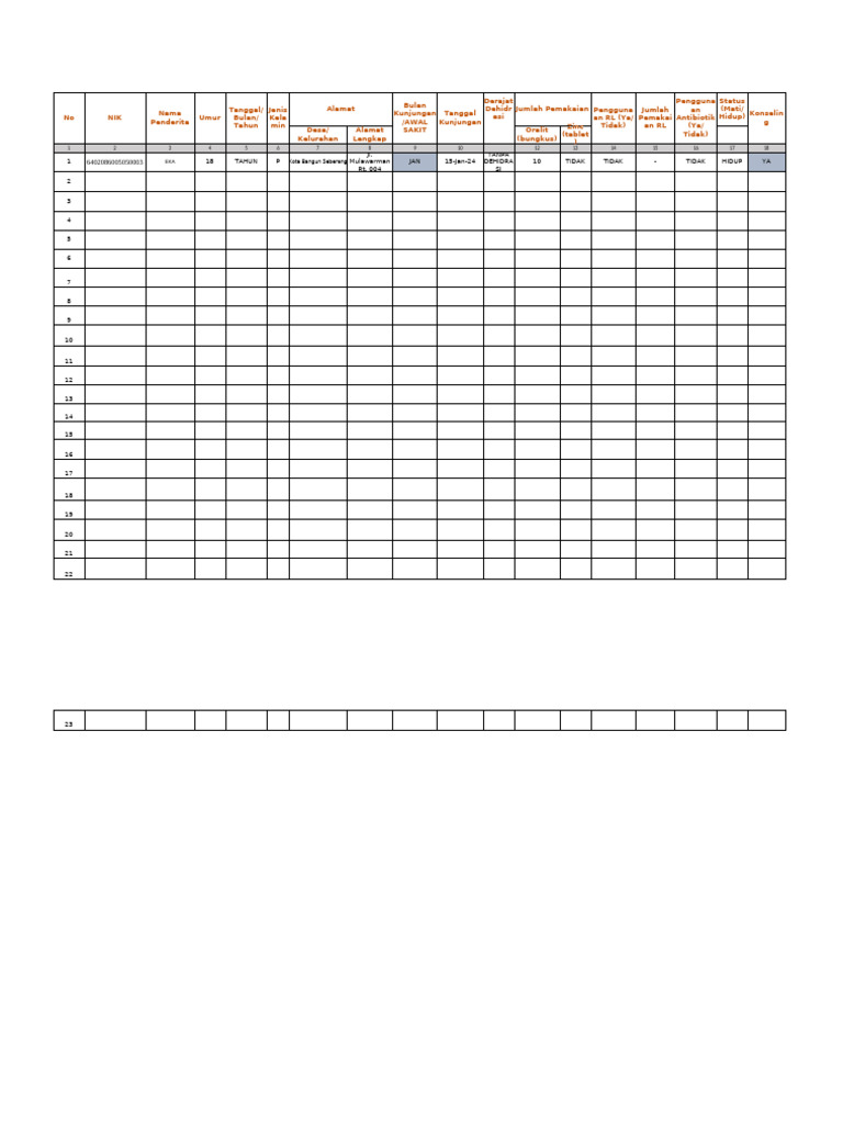 Laporan Diare 2024 Pusban Polindes | PDF
