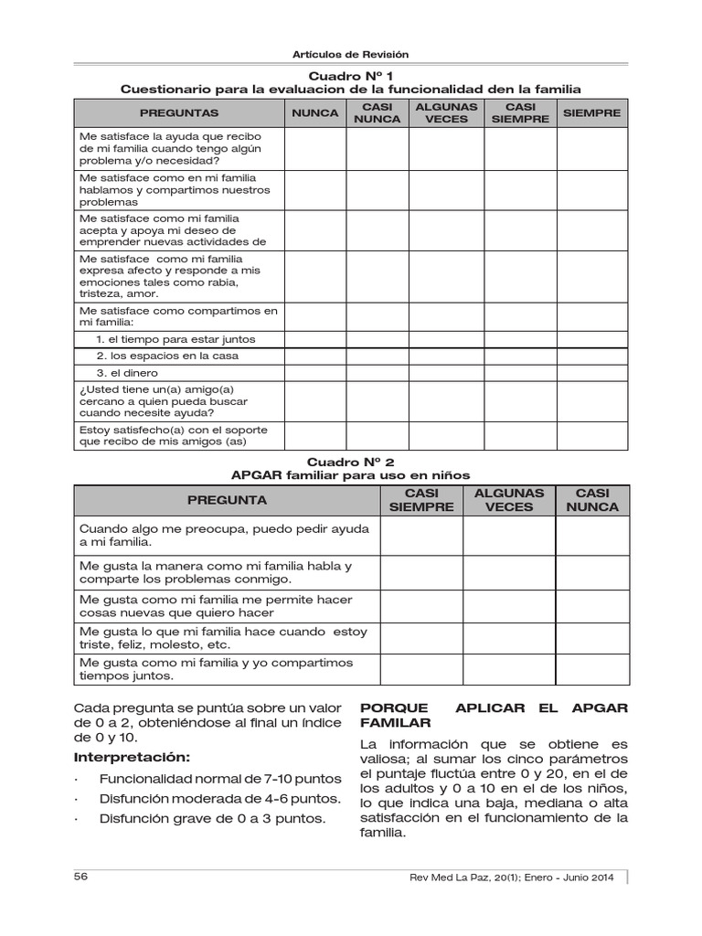Apgar Familiar | PDF