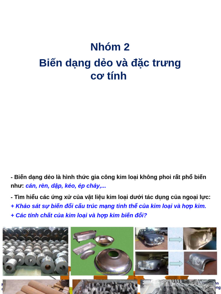 Nhom 2 Bien Dang Deo Va Dac Trung Co Tinh | PDF