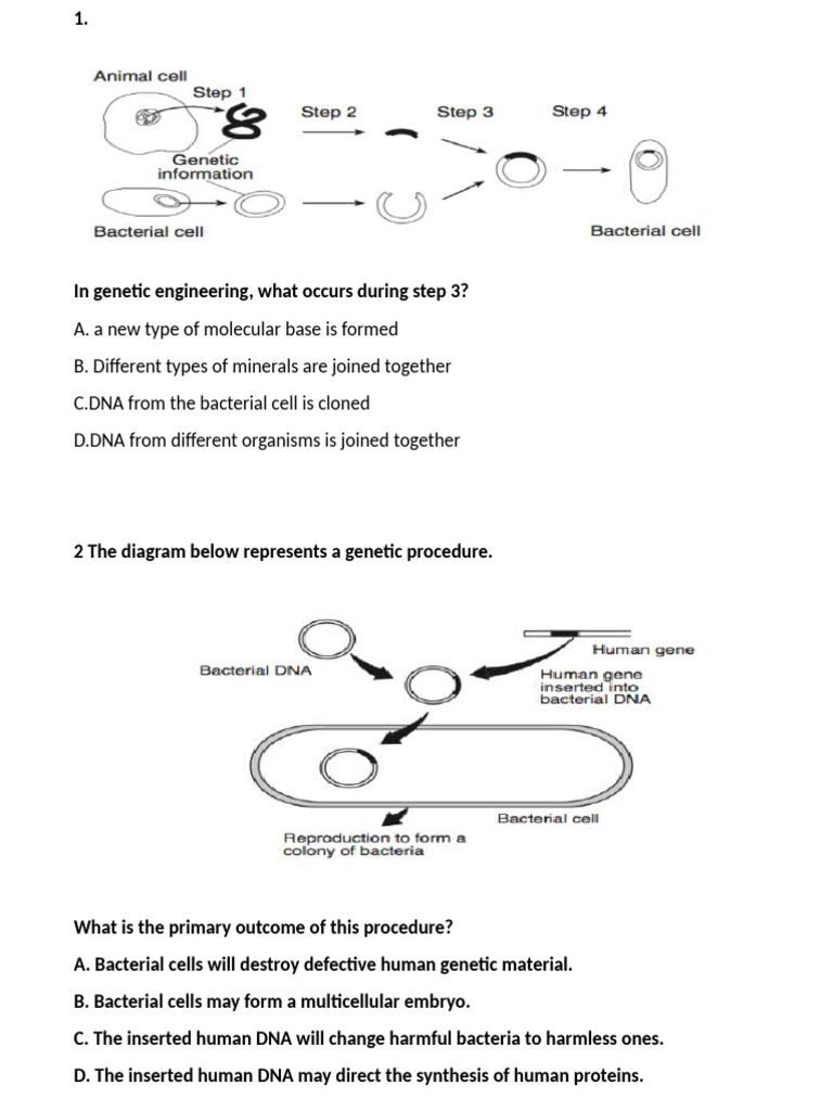 MCQ Task Bio | PDF | Genetic Engineering | Genetics