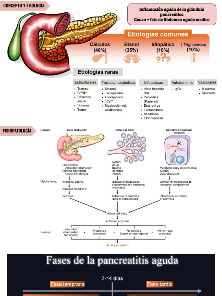 PANCREATITIS | PDF | Salud y bienestar | Ciencia y matemáticas