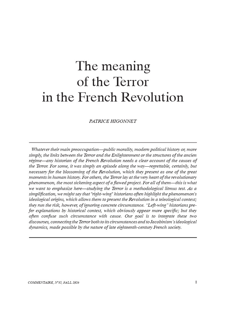 The Meaning of The Terror in The French Revolution | PDF | Reign Of ...