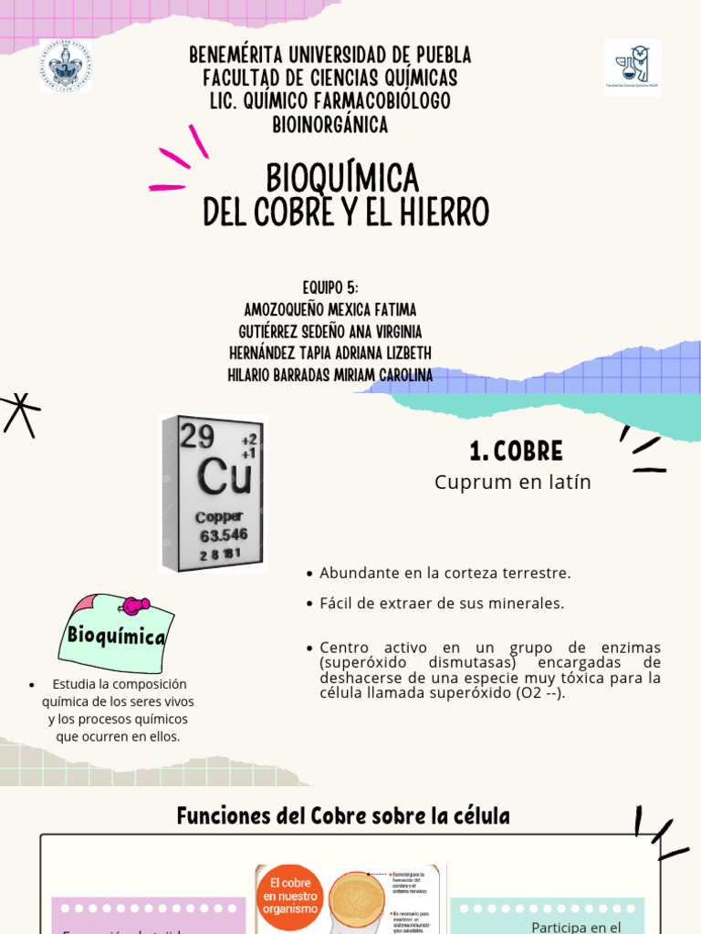 BIOQUÍMICA DEL COBRE Y EL HIERRO.pdf | PDF | Hierro | Porfirina