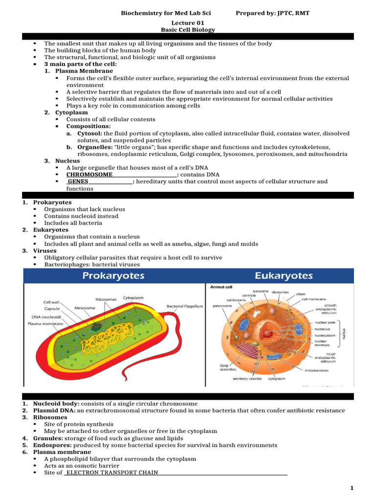Biochem Lecture 01 Basic Cell Biology | PDF | Cell (Biology) | Cell ...