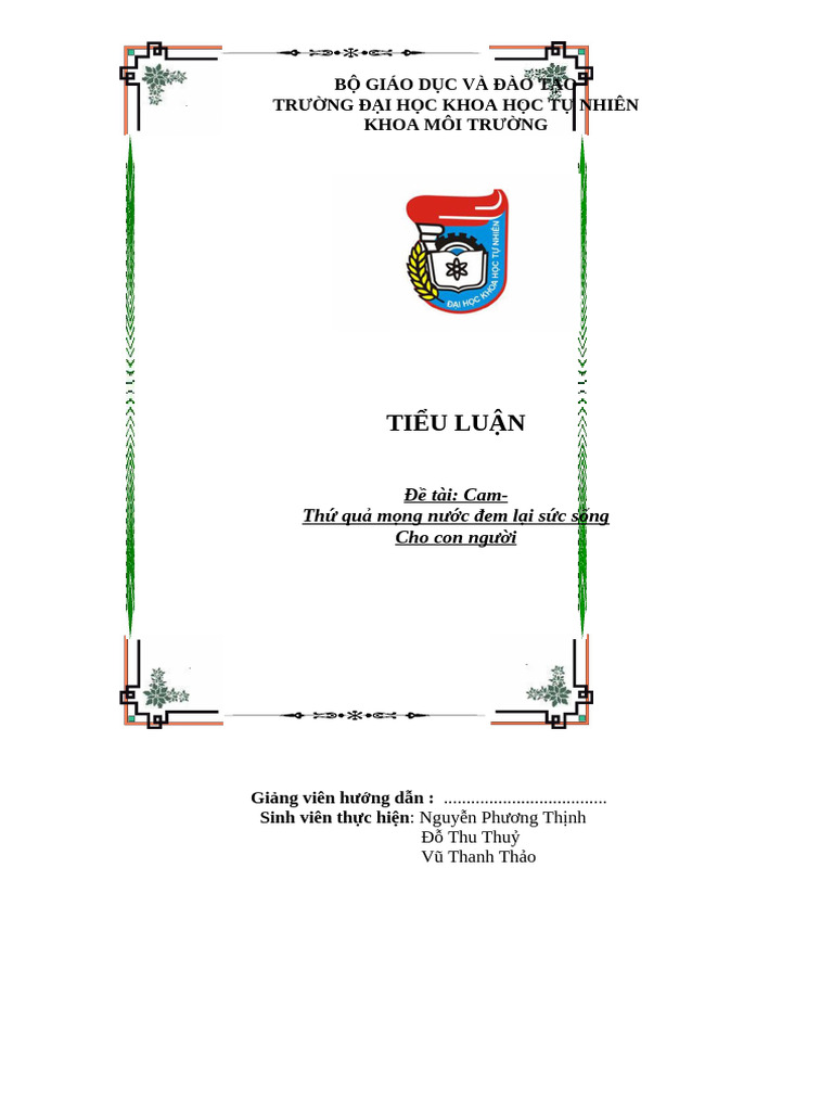 Bia Tieu Luan 1 | PDF