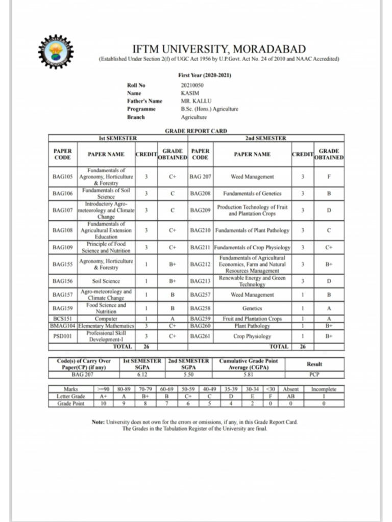 Final Year Marksheet | PDF