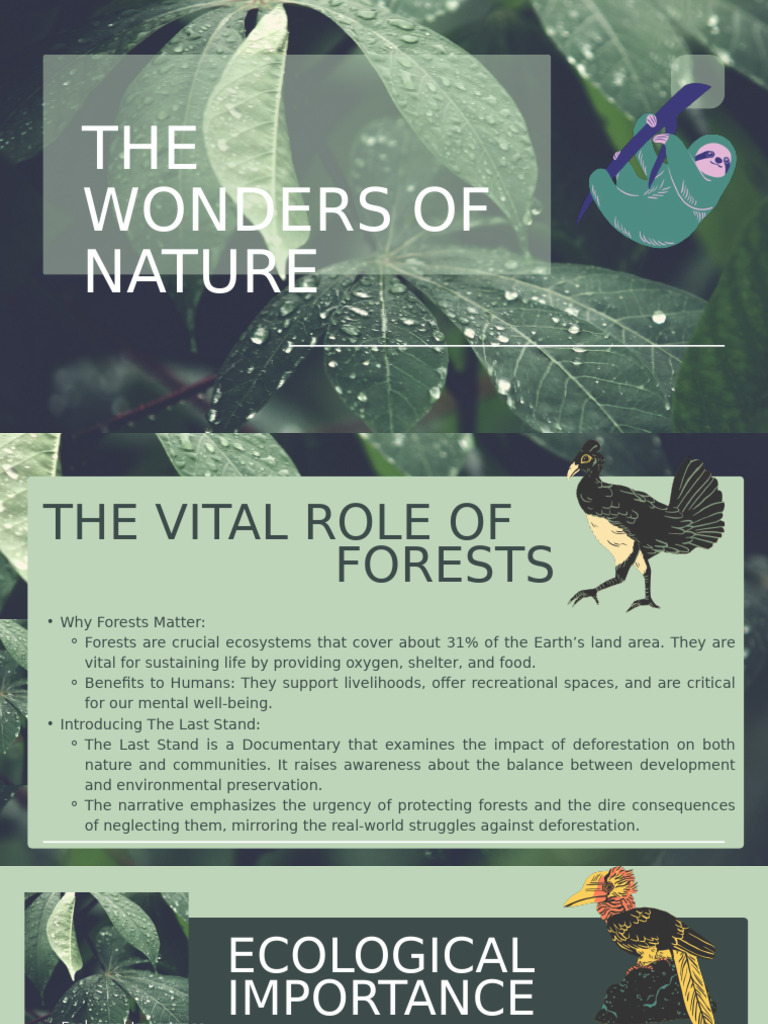 THE Wonders of Nature | PDF | Climate Change Mitigation | Forests