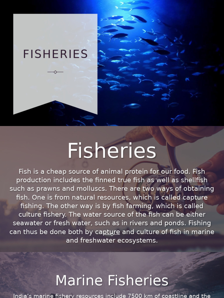 Fishery or Pisciculture | PDF | Fishery | Fish