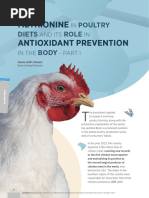 B-MEG Feed Products Overview | PDF | Meat | Pig