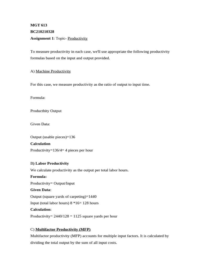 MGT 613 BC210210328 Assignment 1 | PDF