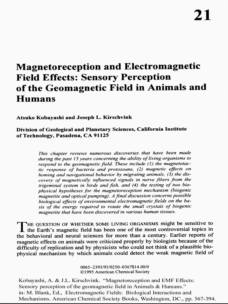 Information Book | PDF