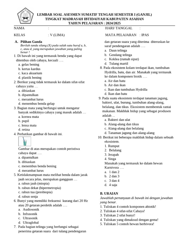 STS Ipas Sem 1 | PDF | Dewasa Muda