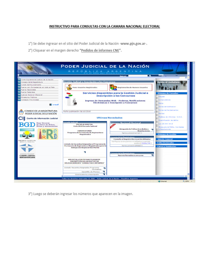 Instructivo CNE | PDF