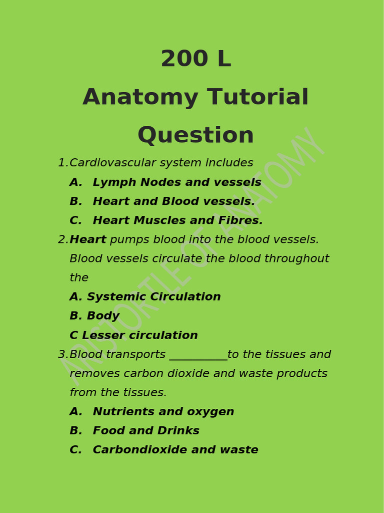 Anatomy Tutorial Questions | PDF | Cardiac Muscle | Heart Valve