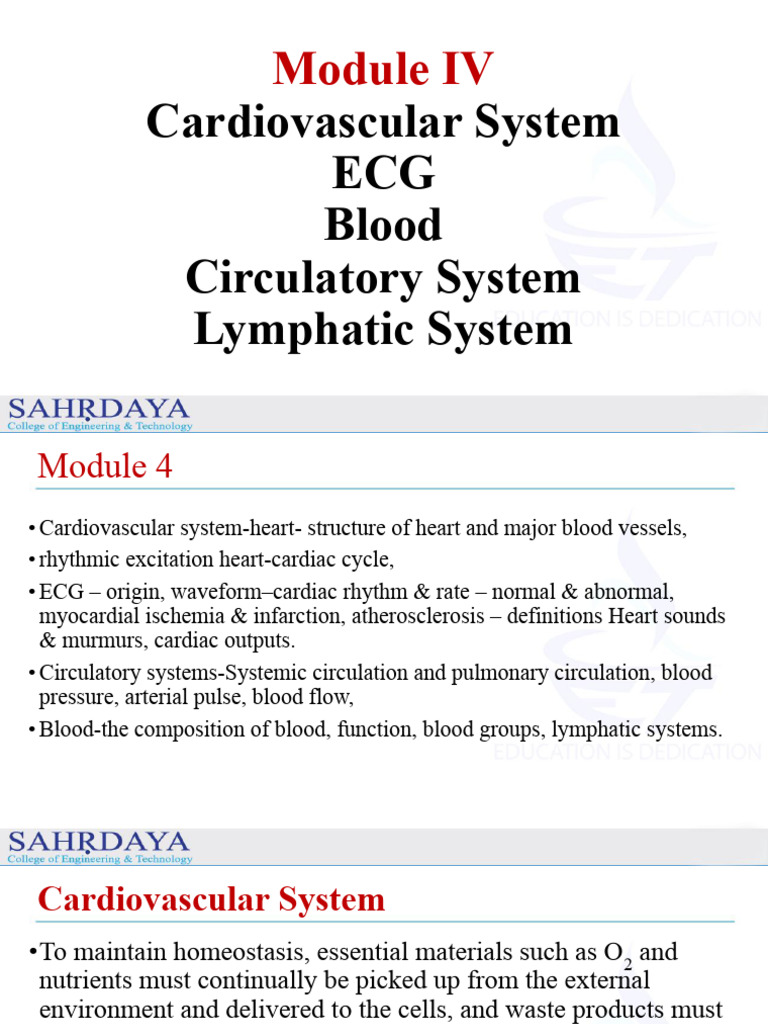 Module 4 | PDF | Heart Valve | Coronary Circulation