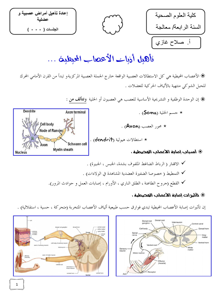 Nerves Injury | PDF