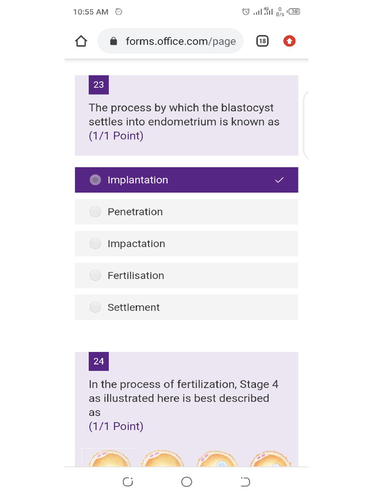 Gross Anatomy (Upper Limb and Lower Limbs) Incourse | PDF